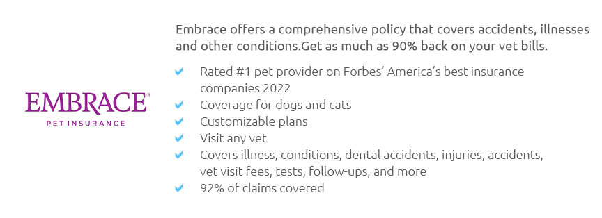 Best Pet Insurance for Cats: Top Picks and Coverage Options