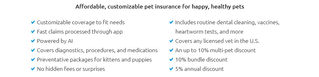 Best Pet Insurance for Cats: Top Picks and Coverage Options