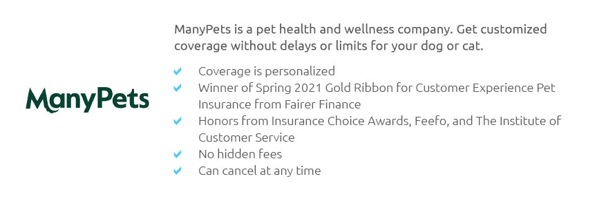 Best Pet Insurance for Cats: Top Picks and Coverage Options